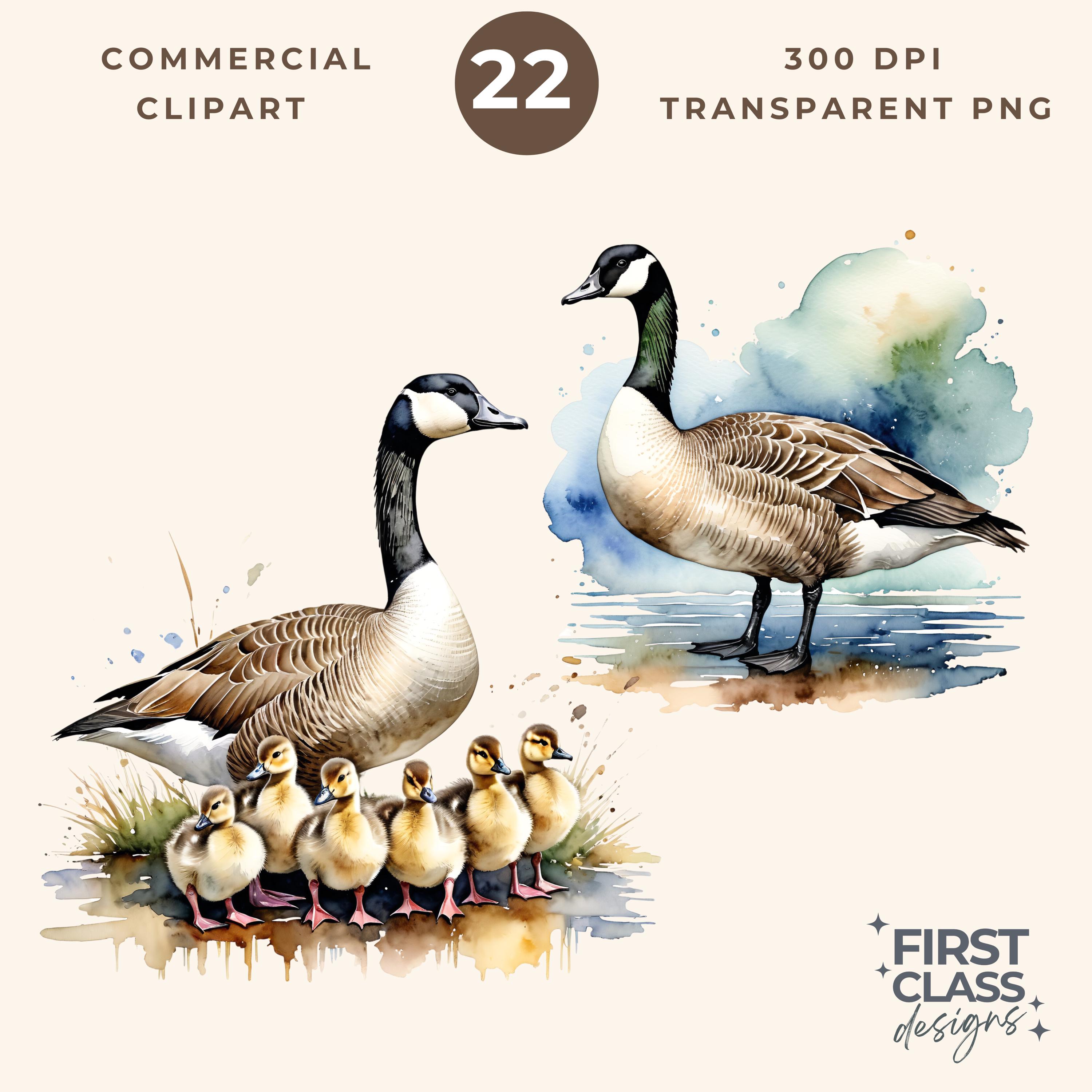 Canadian Goose Clipart, Watercolor Canadian Geese PNG, Canada Goose ...