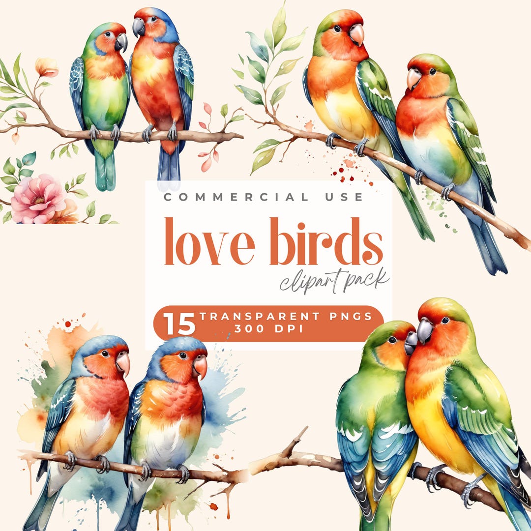 Valentine Love Birds Clipart, Watercolor Love Birds Clipart PNG ...