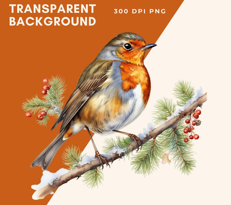 Christmas Robin Clipart Winter Holiday Charm Vibrant Red-breasted ...