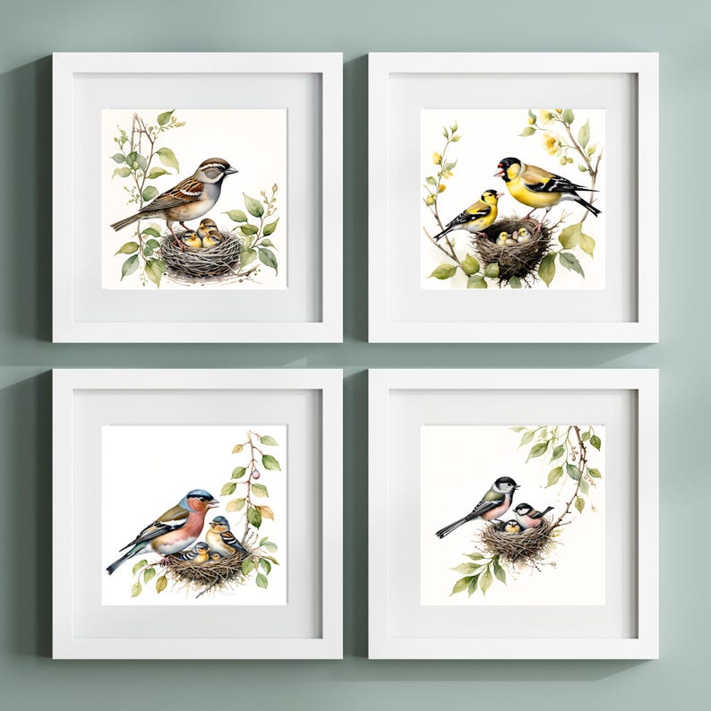 Birds and Nests Clipart, Printable Bird Paper Pack, Scrapbooking Paper ...