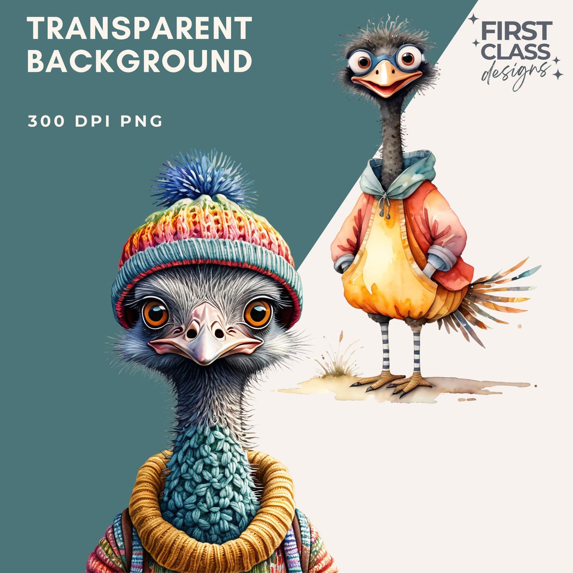 Quirky Emu Clipart, Funny Emu Cartoon PNG, Bird Graphics Downloadable ...