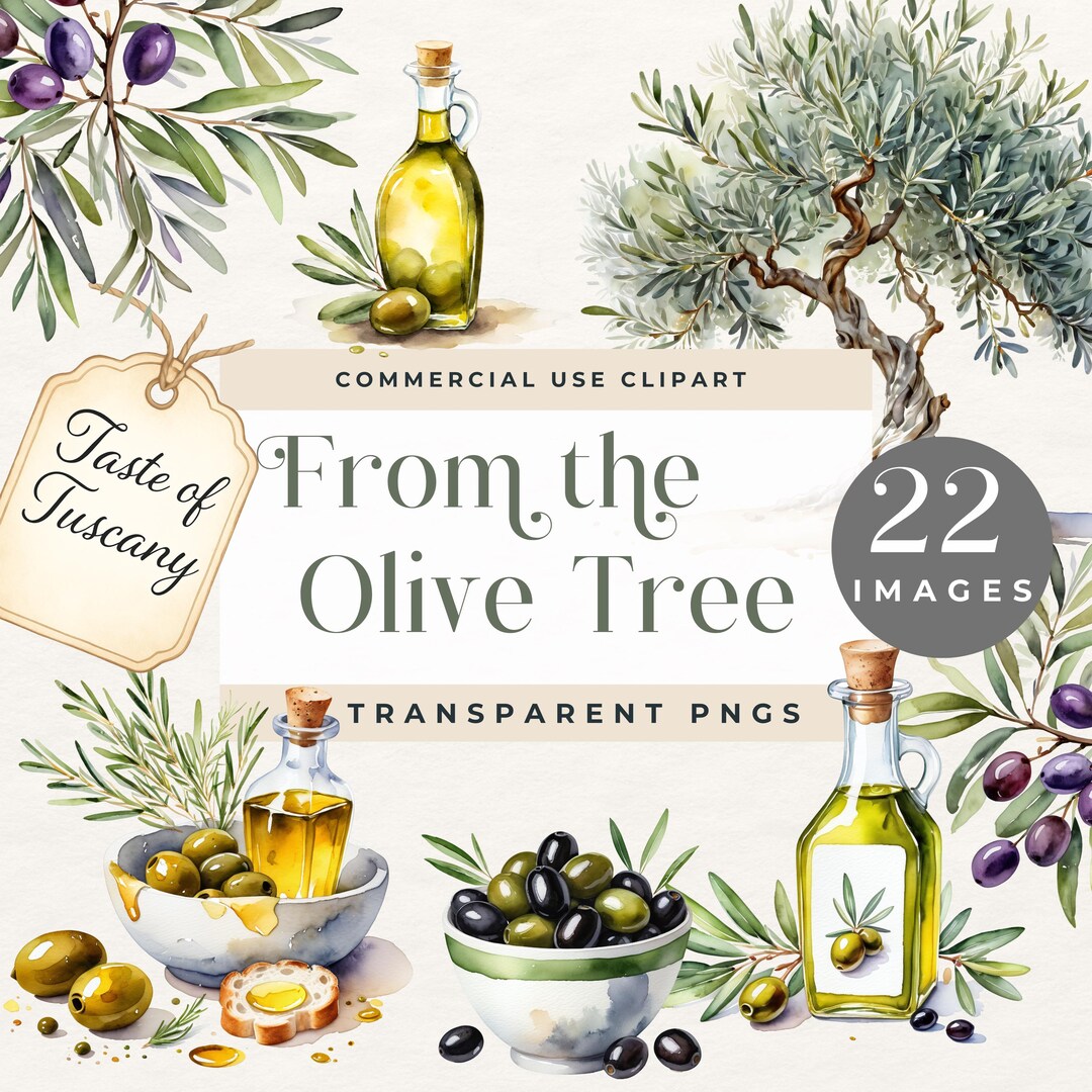 From the Olive Tree, Olive Branch Clipart, Watercolor Olive Oil Clip ...