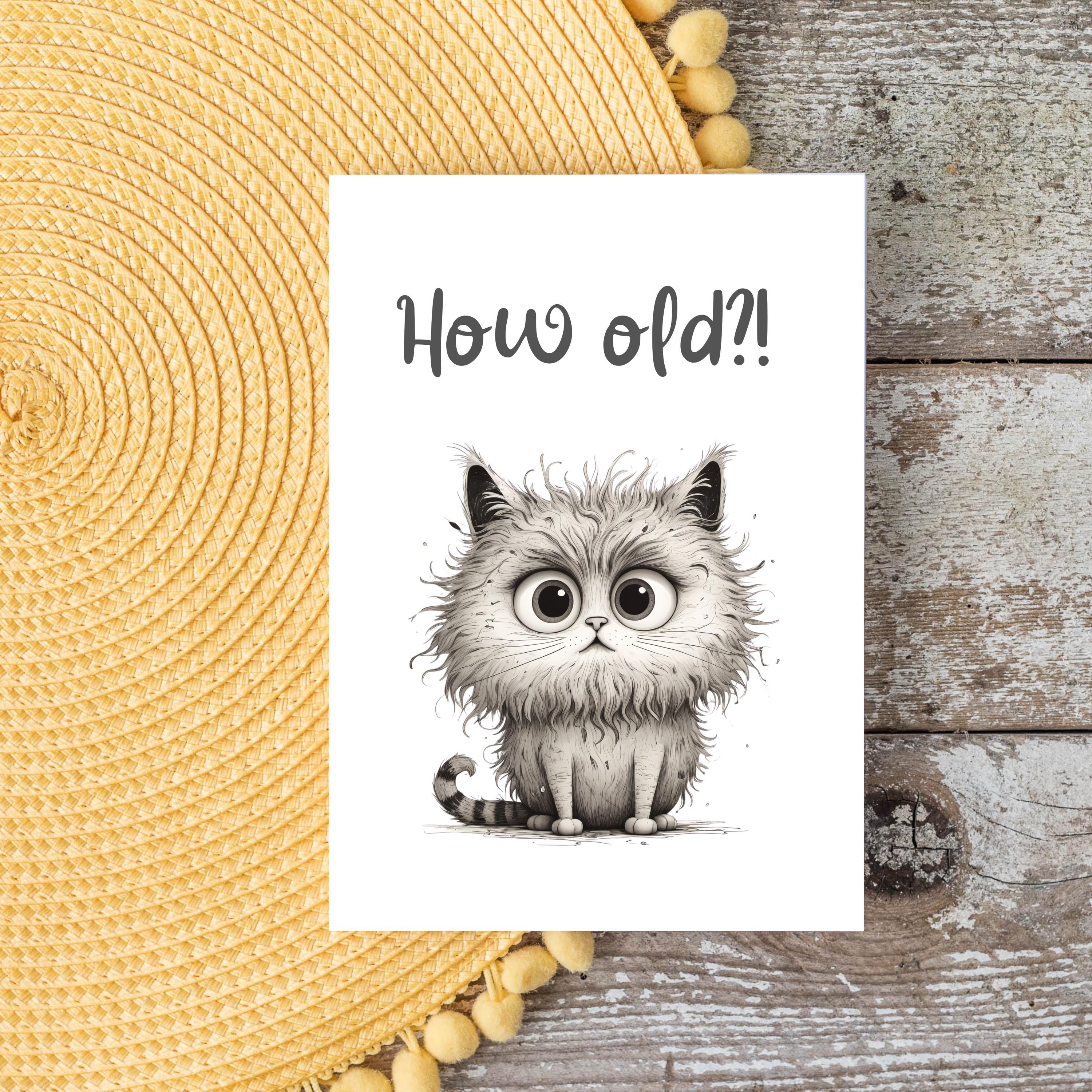 Frazzled Cat Clipart, Funny Quirky Cat Clipart, Cute Cat, Quirky ...