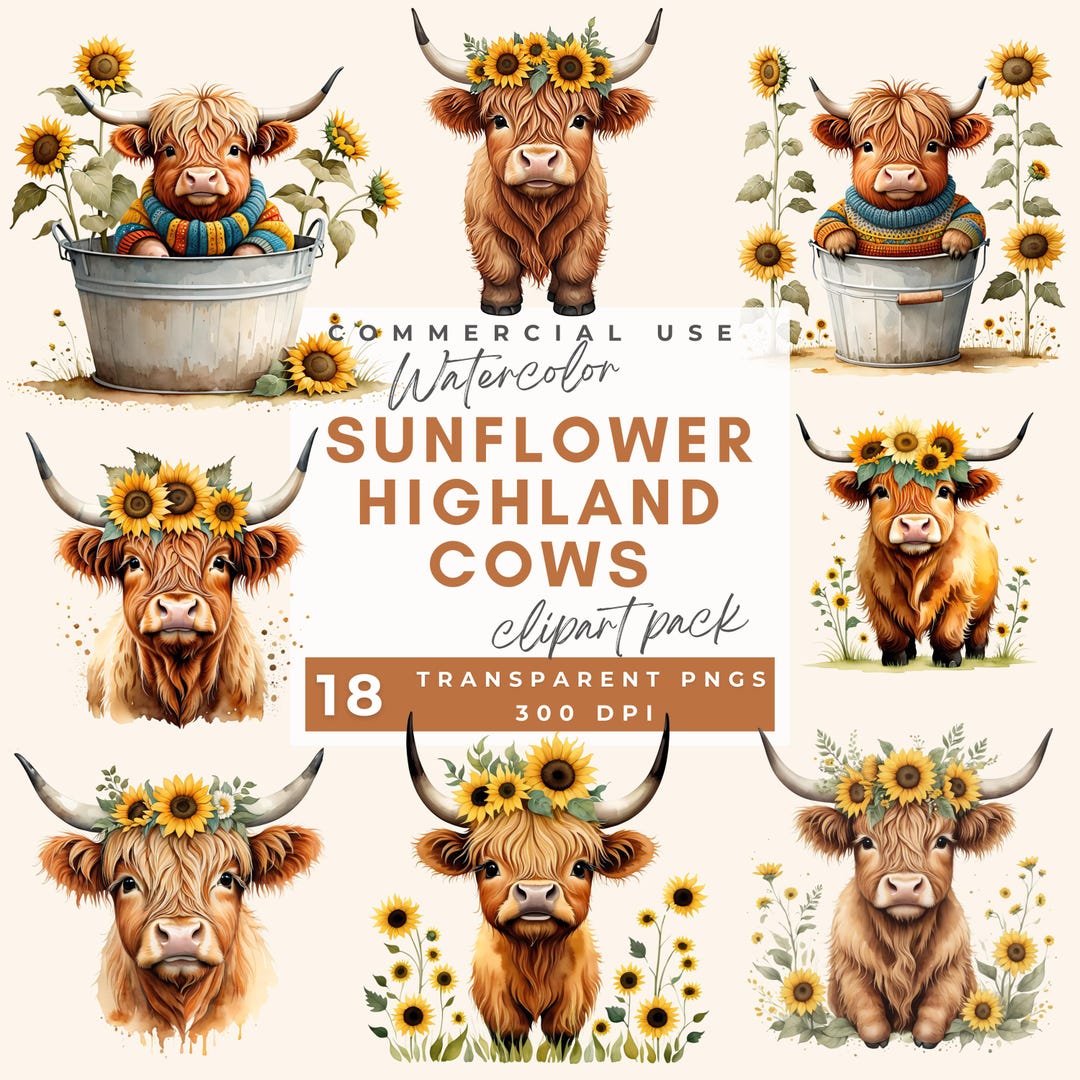 Watercolor Sunflower Highland Cows Collection Clipart, Highland Cow ...