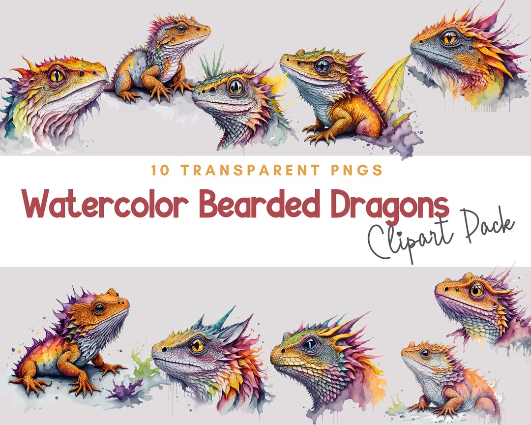 Bearded Dragon Clipart, Watercolor Bearded Dragon, Cute Gecko Clipart ...