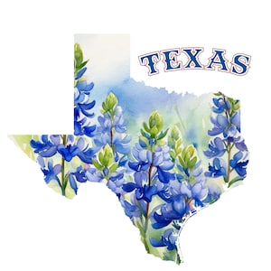 Watercolor Bluebonnet Texas Clipart Texas Map Bluebonnets, Single Image ...