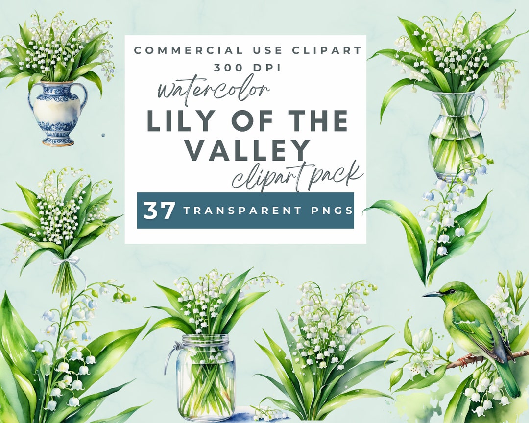 Lily of the Valley Clipart, Lily of the Valley Watercolor Clipart, May ...