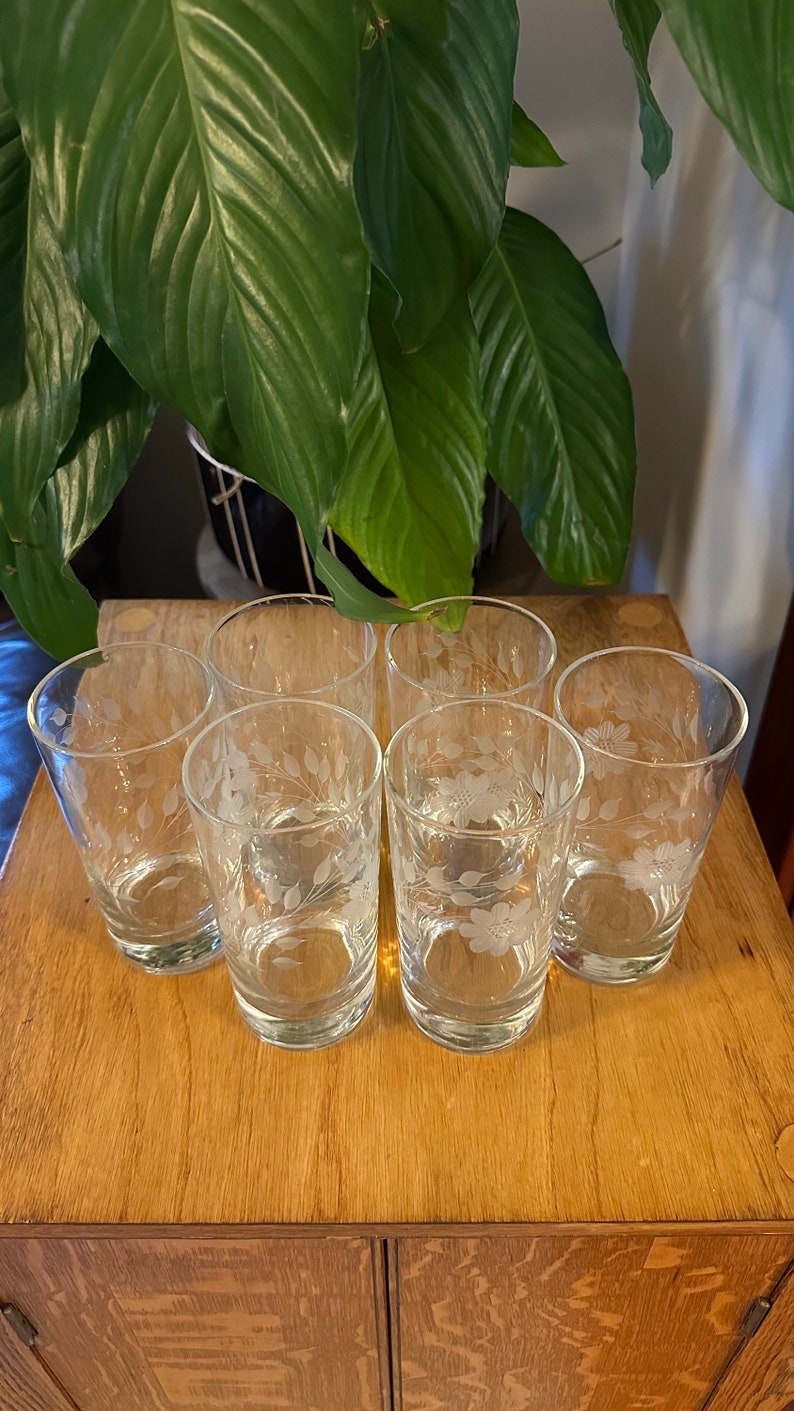 Vintage Floral Etched Drinking Glasses, Set of 6 - Etsy