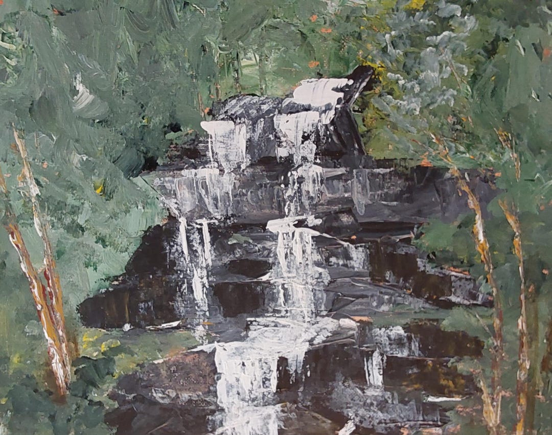 Original Acrylic Painting of a North Carolina Waterfalls- Framed White ...