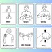 Asl Classroom Sign Posters, Asl Learning for Kids, Sign Language Poster ...