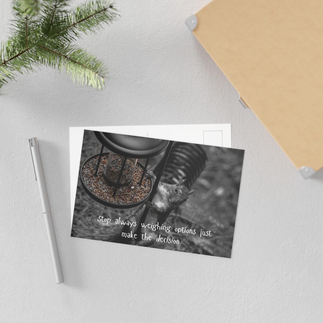 Funny Squirrel Motivational Postcard Inspirational Wildlife Quote Card ...