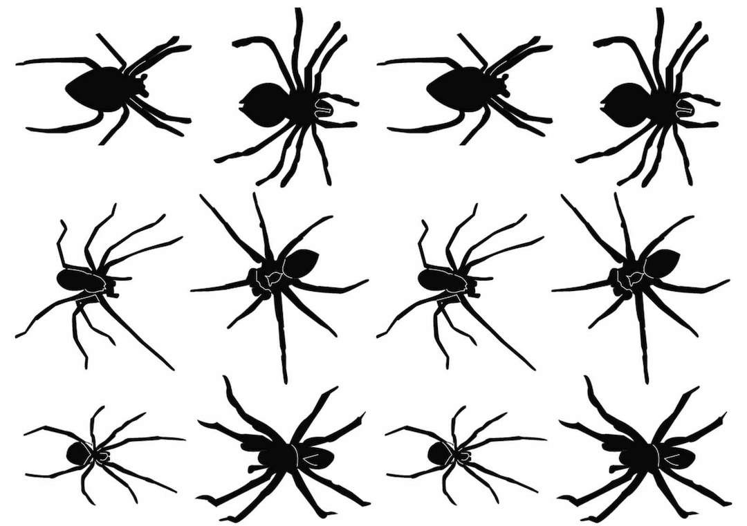 Spider Tattoos - Temporary Tattoos - A5 Sheet - Etsy