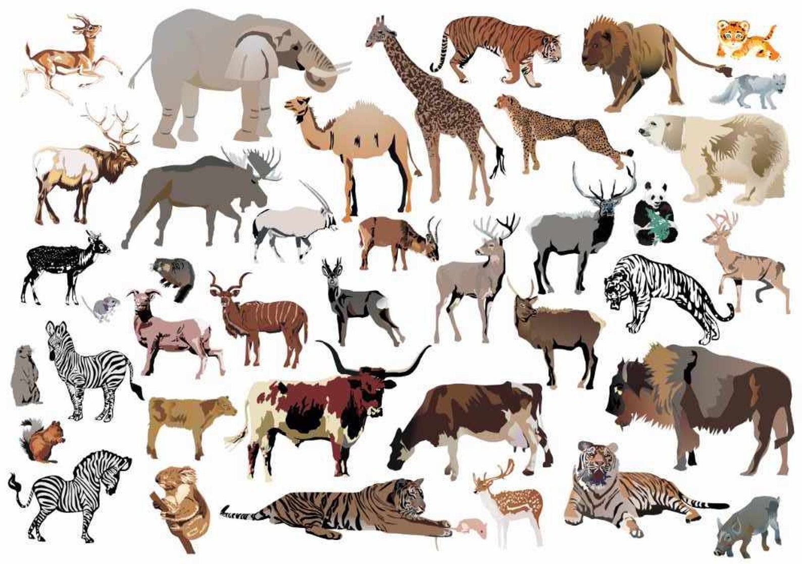 Small Tattoos Wild Animals - Temporary Tattoos - A5 Sheet - Etsy
