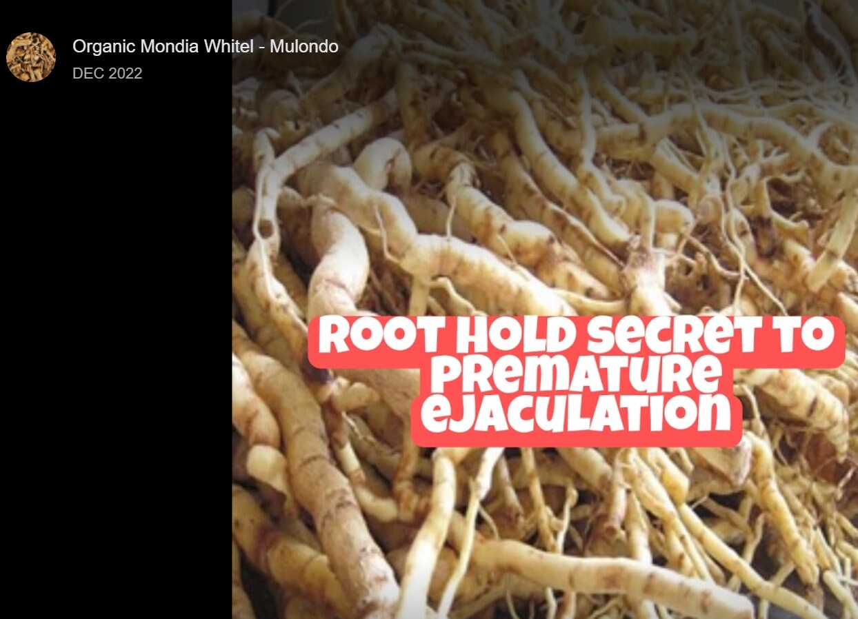 100% Organic Mondia Whitei Pure African Ginger Root mulondo/gondolosi ...