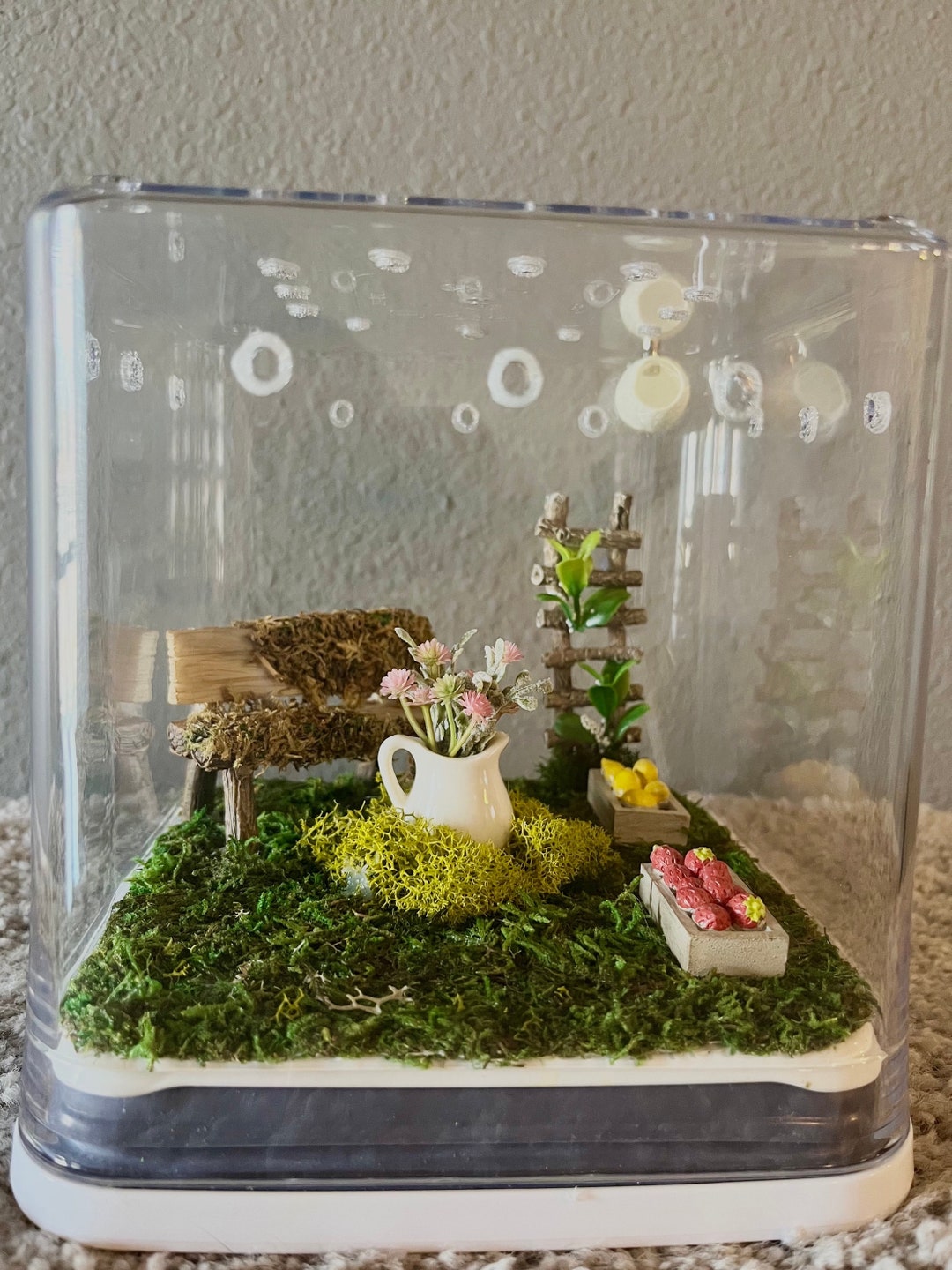 Cozy Garden Jumping Spider Enclosure - Etsy