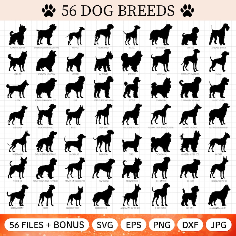 56 Dog Breed Silhouette Bundle, Dog Silhouettes Svg, Dog Breed Svg, Dog ...