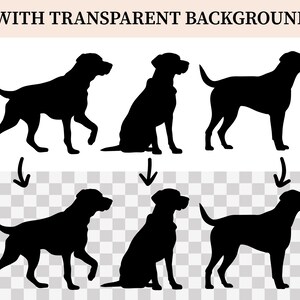 Labrador Bundle Svg, Dog Silhouette, Lab Svg, Dog Clipart, Labrador ...