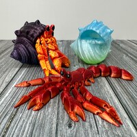 Hermit Crab Shell - Etsy