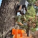 Tree Stand Cup and Phone Holder - Etsy