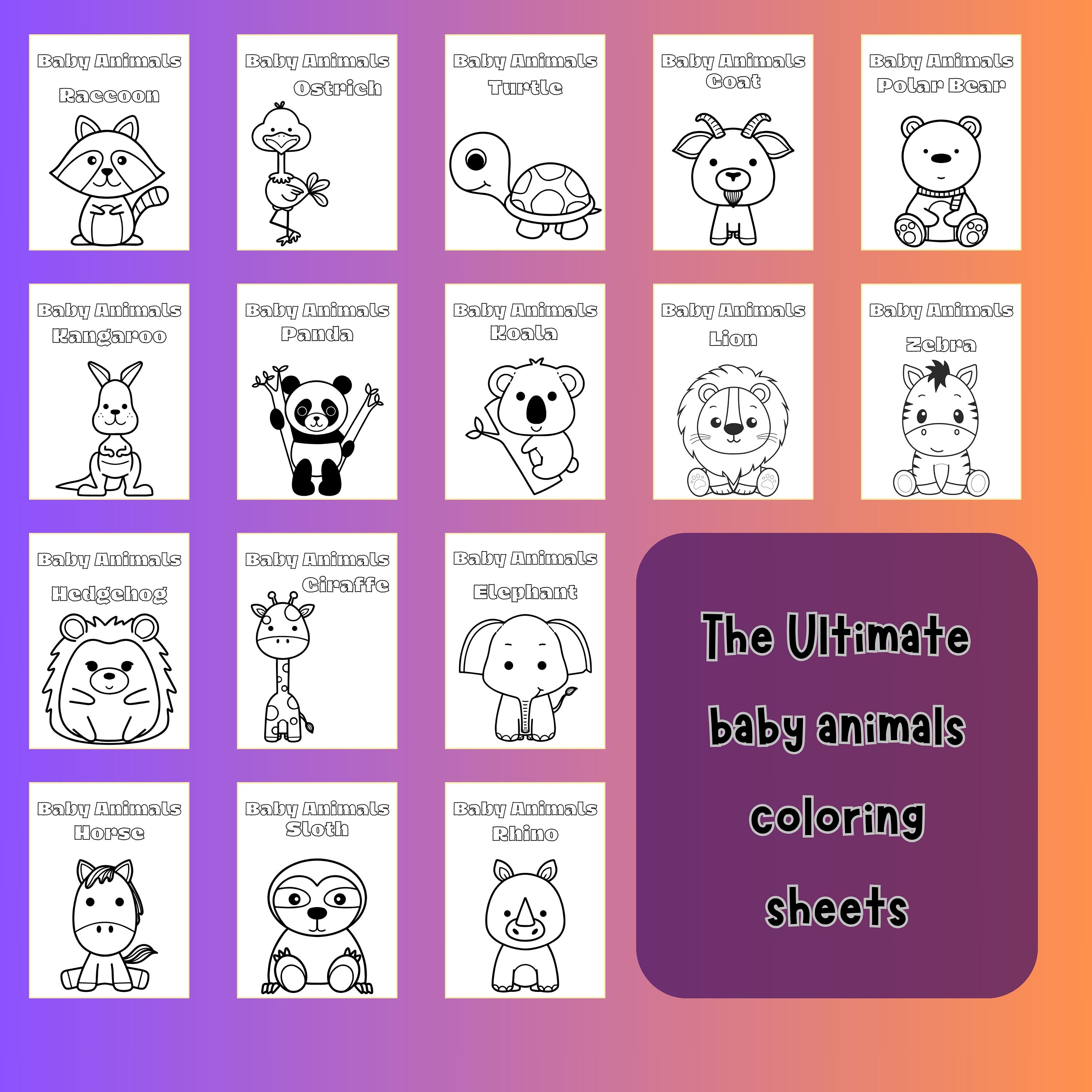 Printable, Baby Animals, Fun and Educational Coloring Worksheets ...