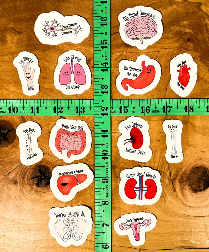Cute Anatomy Pun Stickers - Etsy