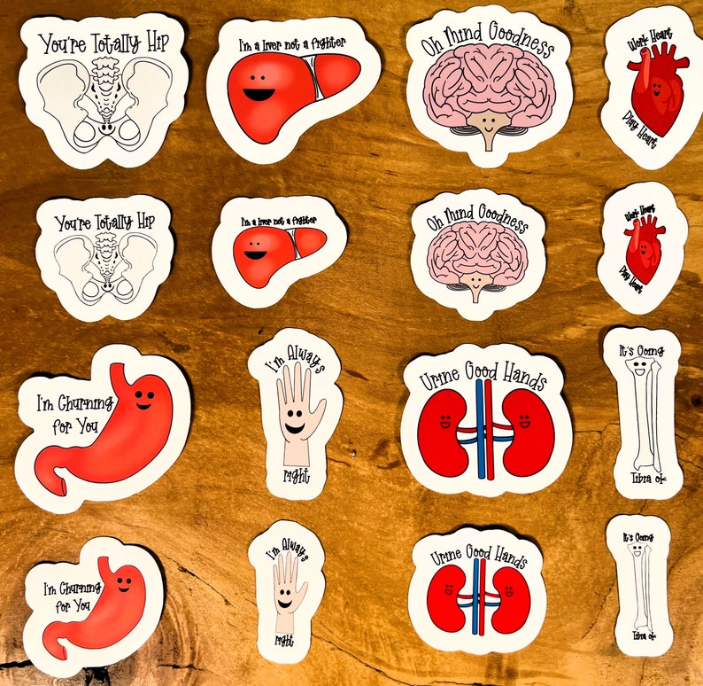 Cute Anatomy Pun Stickers - Etsy