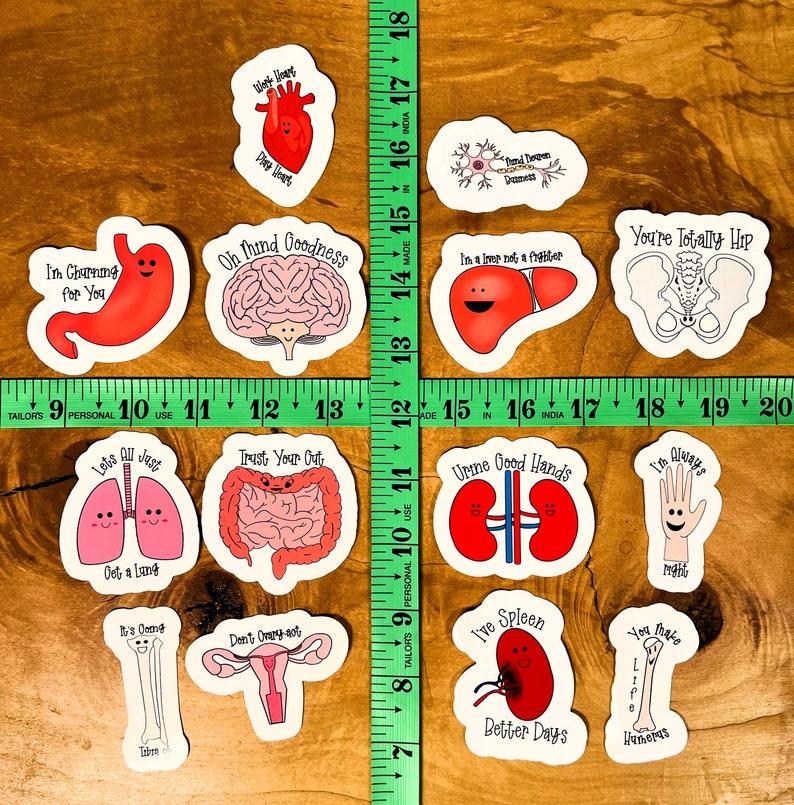 Cute Anatomy Pun Stickers - Etsy