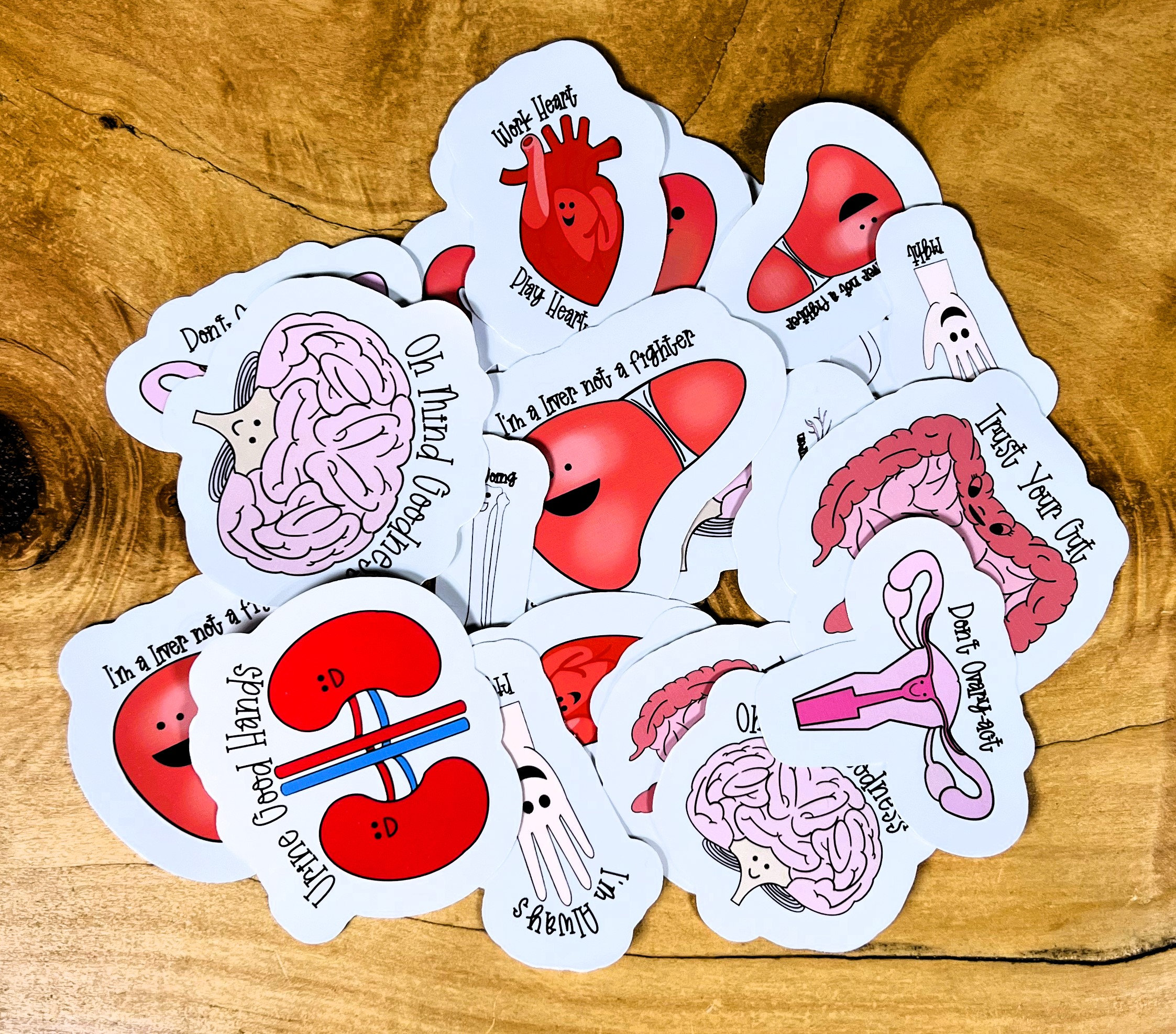 Cute Anatomy Pun Stickers - Etsy