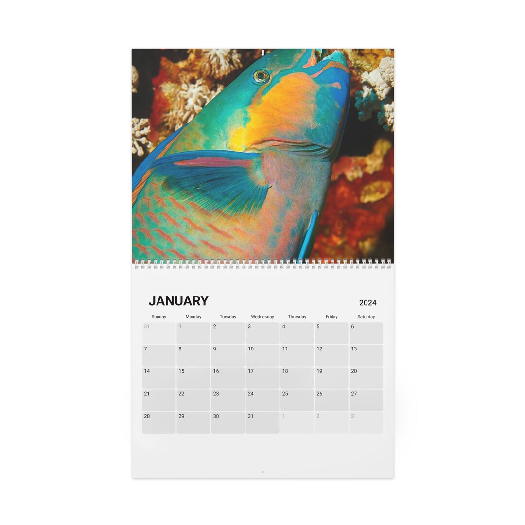 Calendario natural de año nuevo 2024 bajo el mar / - Etsy España