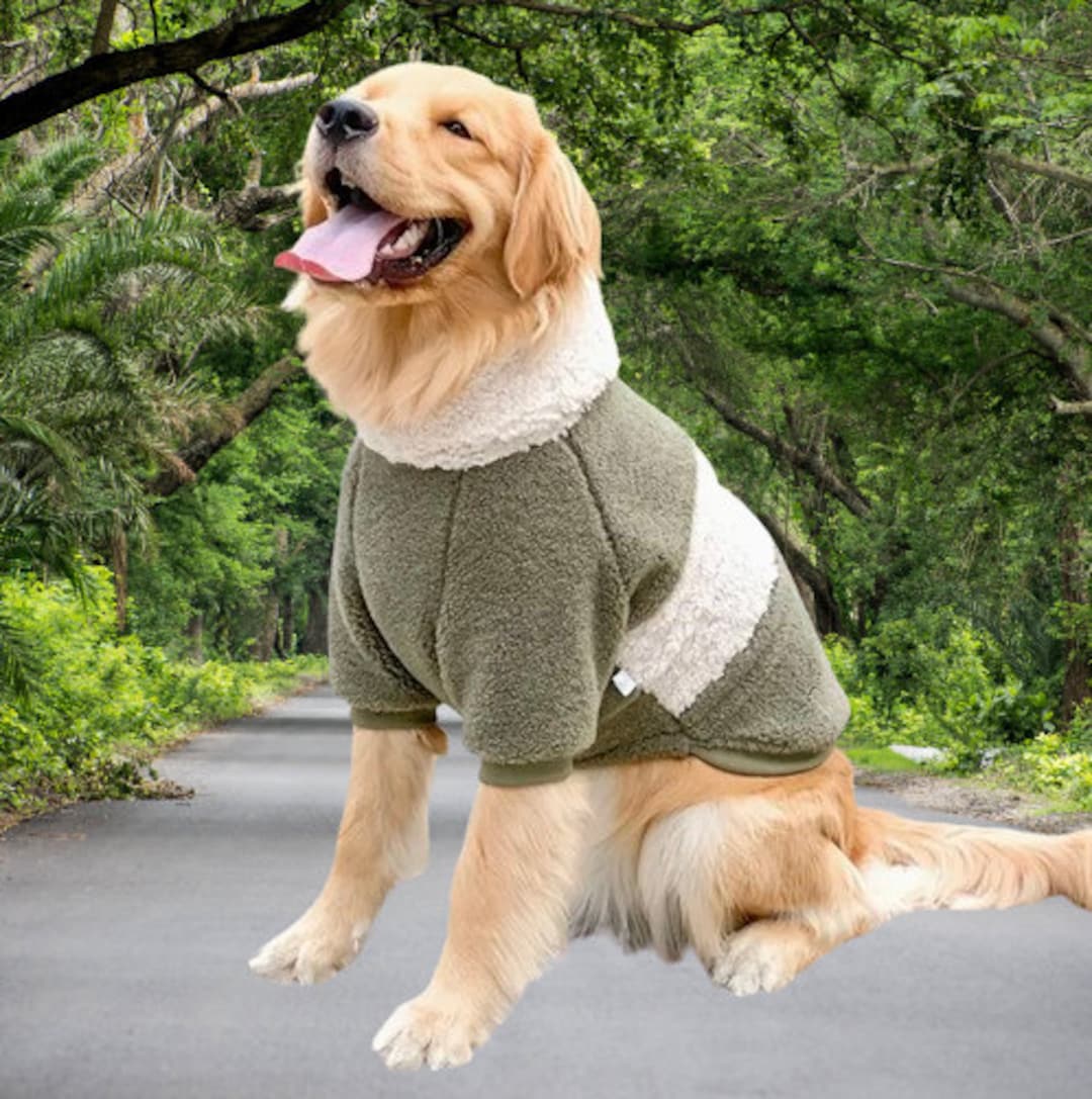 Italian Style Chic & Cozy Hooded Fleece Pullover: Winter-ready Fashion ...