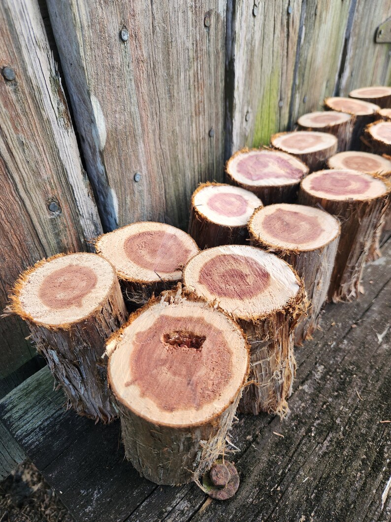 1 Cedar Log - Etsy