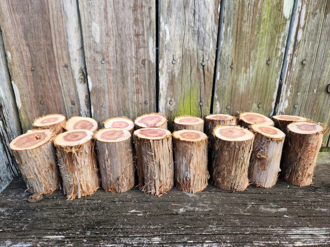 1 Cedar Log - Etsy