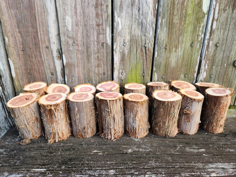 1 Cedar Log - Etsy