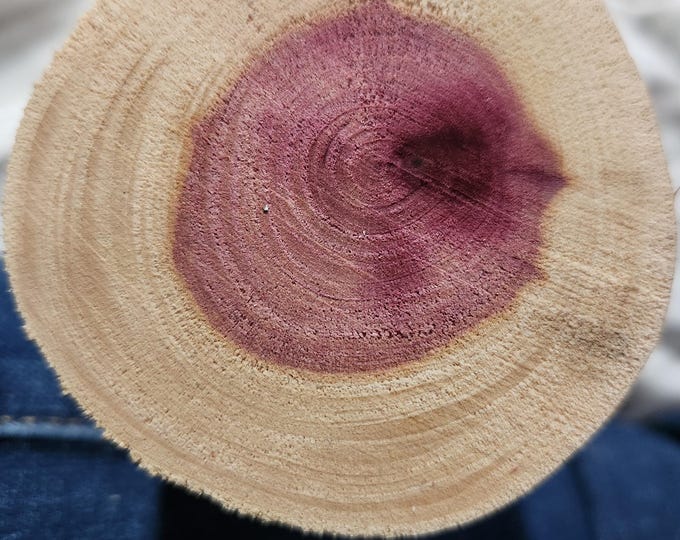Cedar Log - No Bark - Etsy