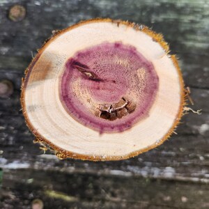 1 Cedar Log - Etsy