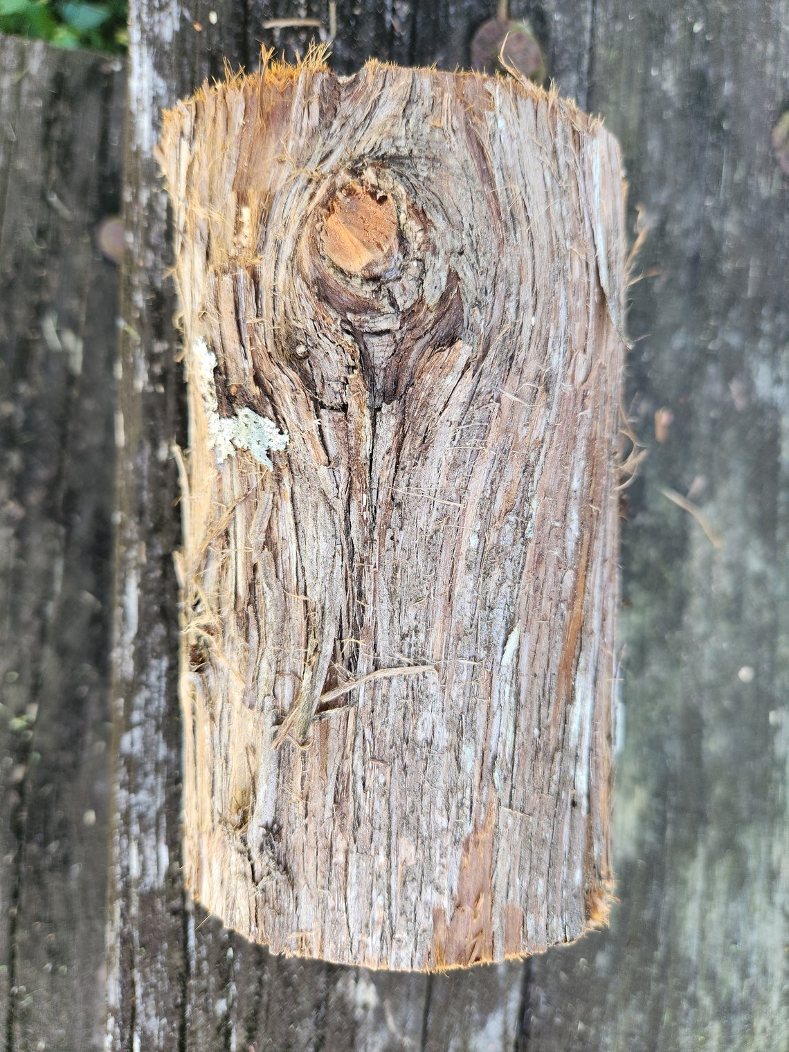 1 Cedar Log - Etsy