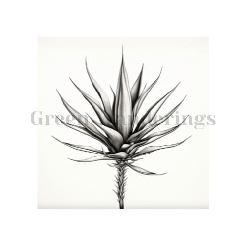 Agave Pencil Sketch SVG Printable Download - Etsy