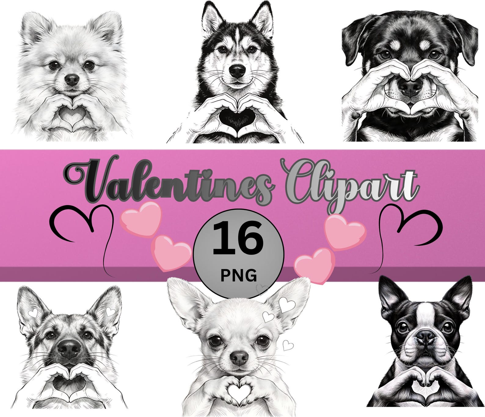 Valentine’s Day Dog Breeds Clip Art Bundle 16 PNG Images - Etsy