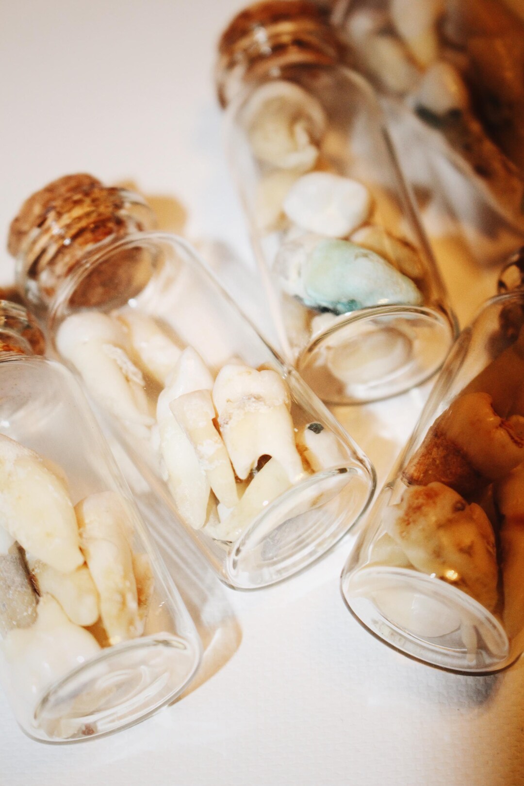 Real Human Teeth, Jar of Teeth, Real Bone, Gothic Home Decoration ...