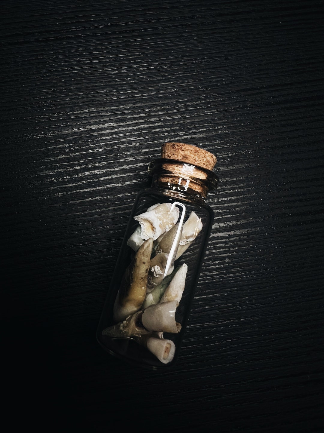 Real Human Teeth, Jar of Teeth, Real Bone, Gothic Home Decoration ...