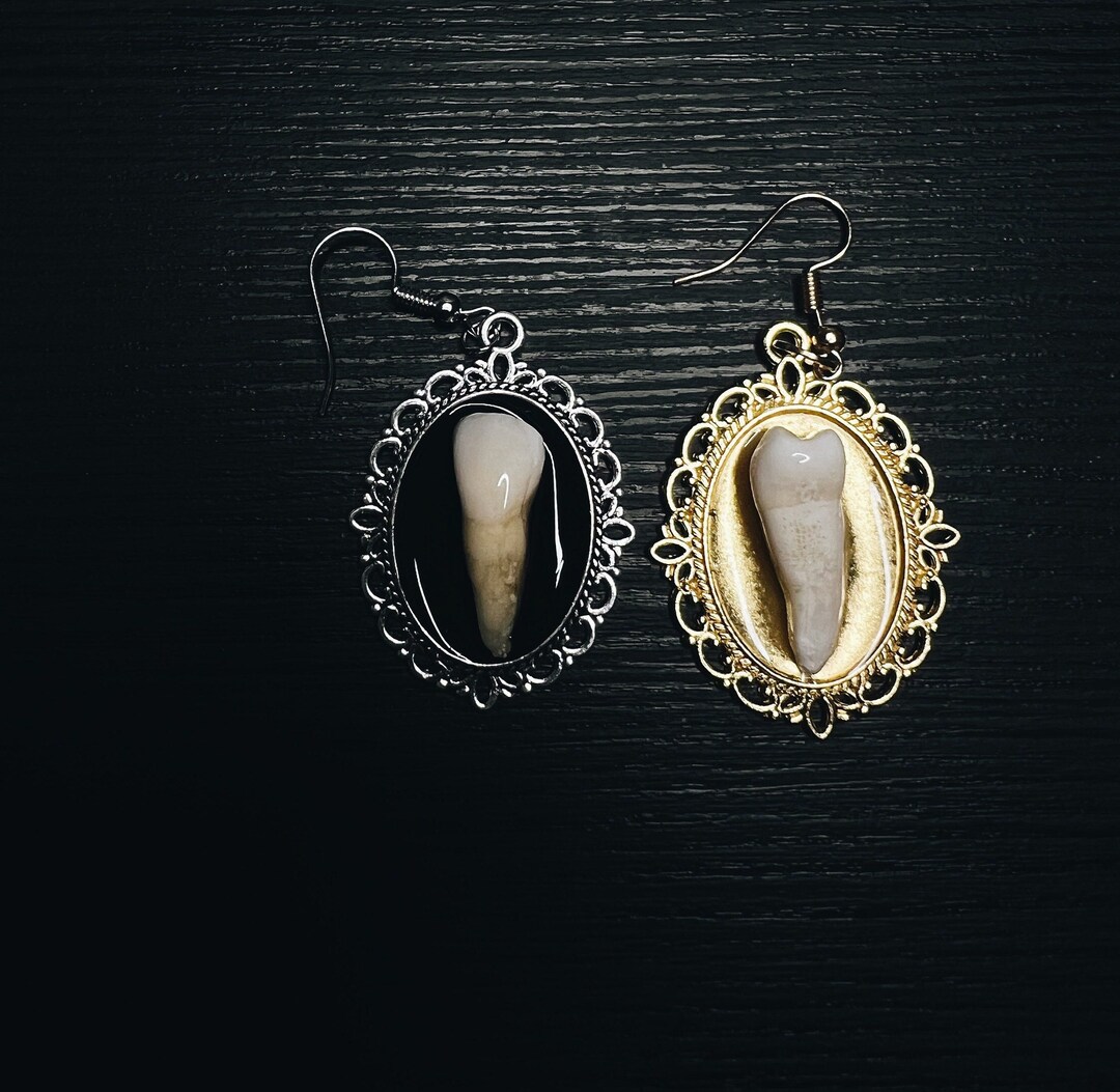 Real Human Tooth Cameo Earrings Oddities Gothic Jewelry Gothic Style - Etsy