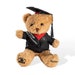 Custom Name Graduation Teddy Bear With School Badge, Plush Teddy Bear ...