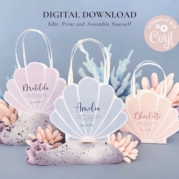 Shell Boxes - Etsy