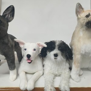Custom Stuffed Animals Your Dogs, Photo to Custom Stuffed Animal, Plush ...