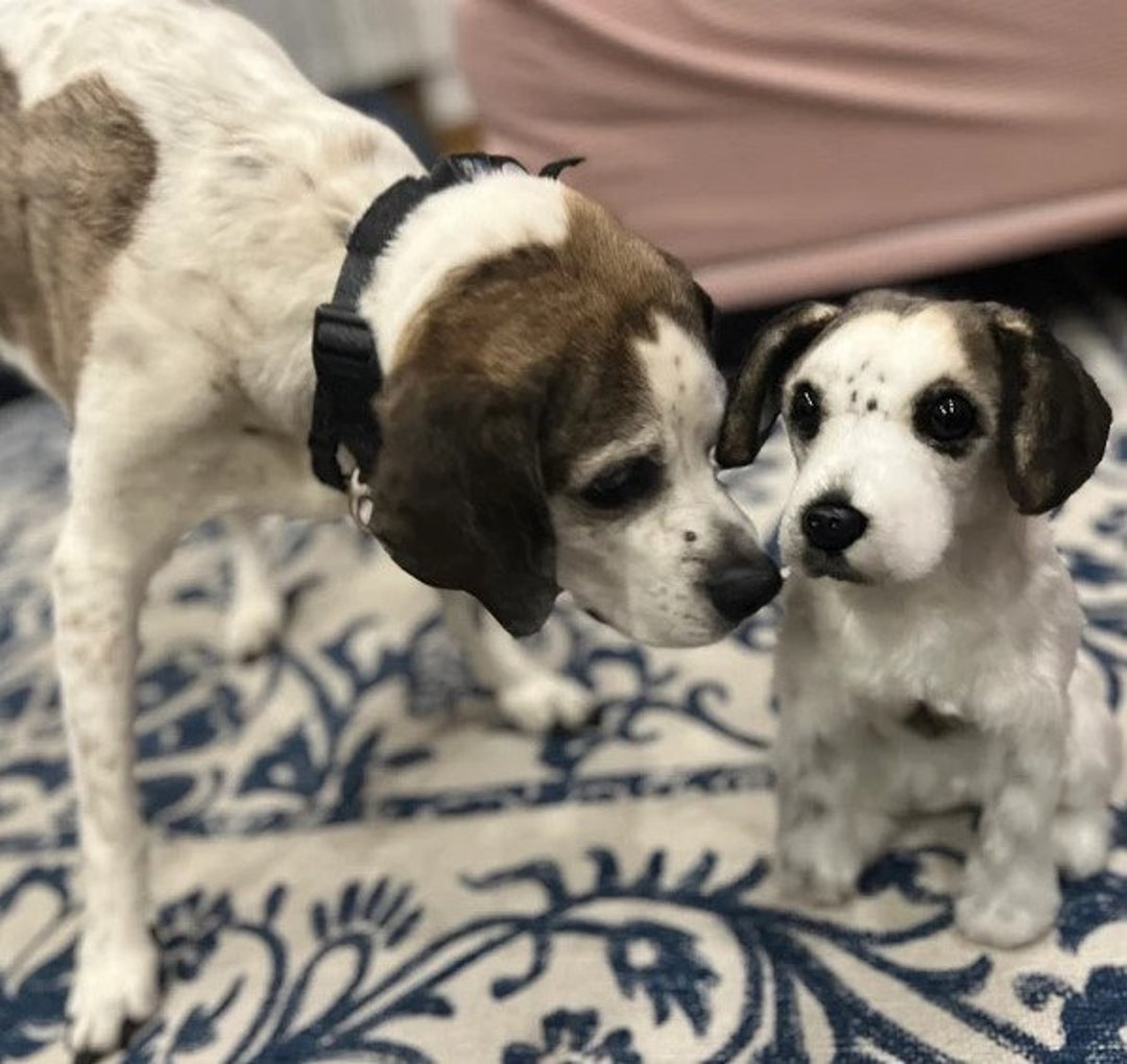 Custom Stuffed Animals Your Dogs, Photo to Custom Stuffed Animal, Plush ...