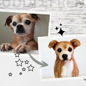 Custom Stuffed Animals Your Dogs, Photo to Custom Stuffed Animal, Plush ...