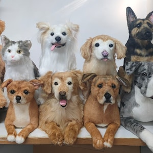 Custom Stuffed Animals Your Dogs, Photo to Custom Stuffed Animal, Plush ...