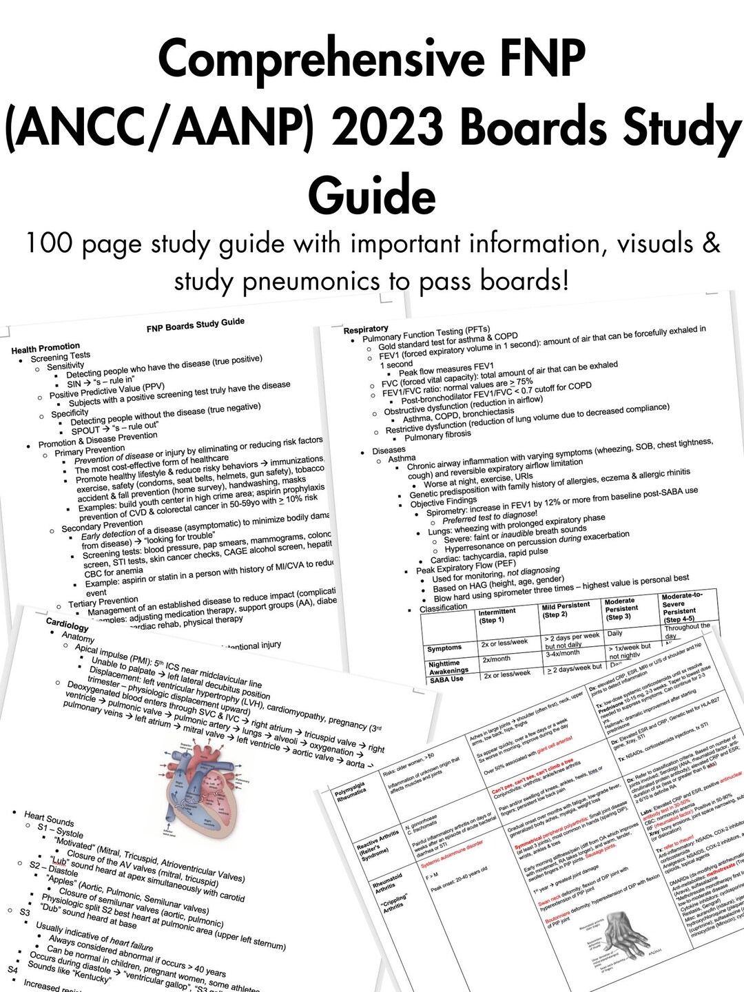 2023-2024 FNP Boards Comprehensive Study Guide - Etsy