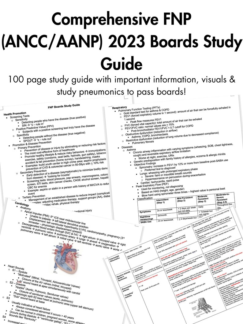 2023-2024 FNP Boards Comprehensive Study Guide - Etsy