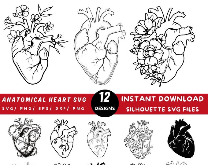 Anatomical Heart Svg Bundle Flower Heart Svg Human Heart Svg Anatomy